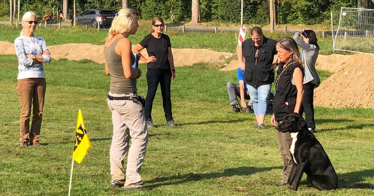 TKGS / CTUS | Über die TKGS